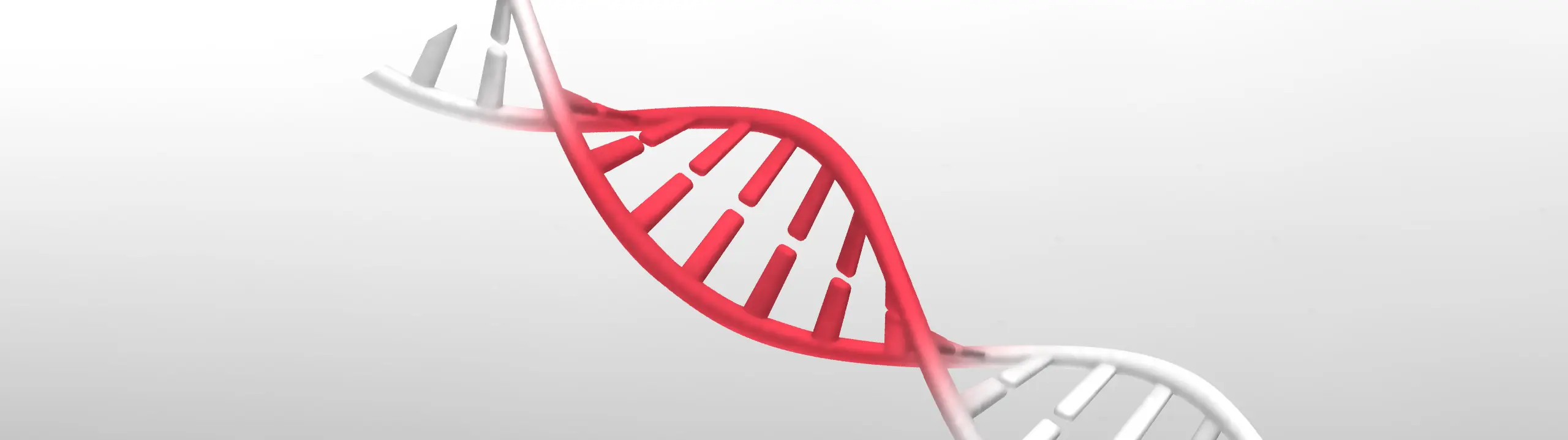 전장엑솜분석 (Whole Exome Sequencing) 전장엑솜분석 (Whole Exome Sequencing)